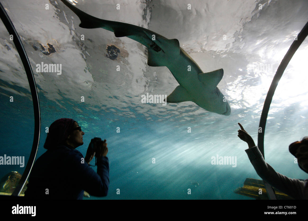 Visiting aquariums hi-res stock photography and images - Alamy