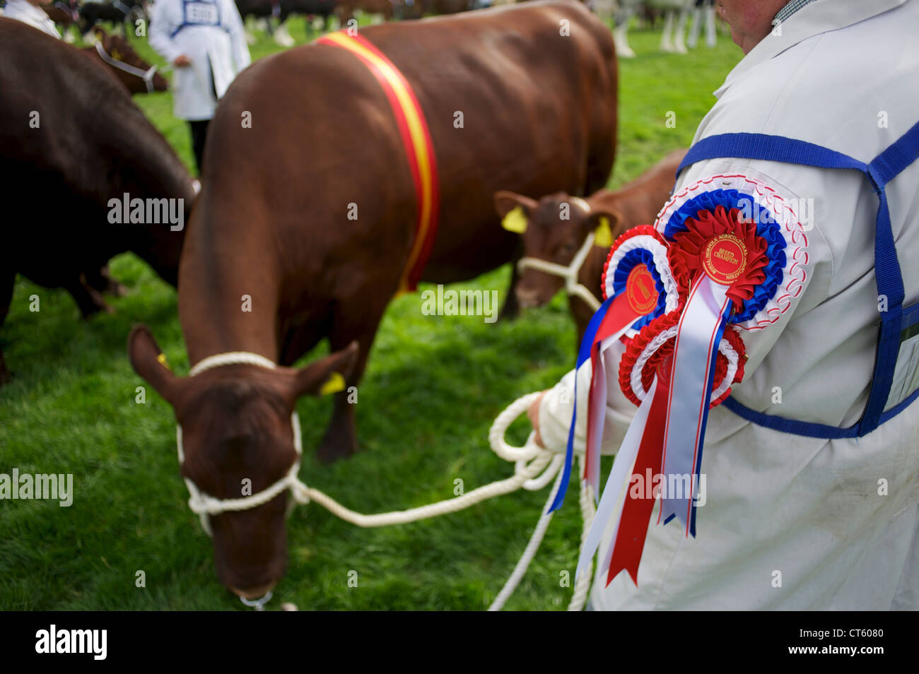 Norwich, Norfolk. The annual Royal Norfolk Show held at the Norfolk ...