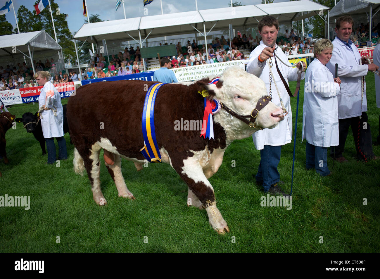 Norwich, Norfolk. The annual Royal Norfolk Show held at the Norfolk ...