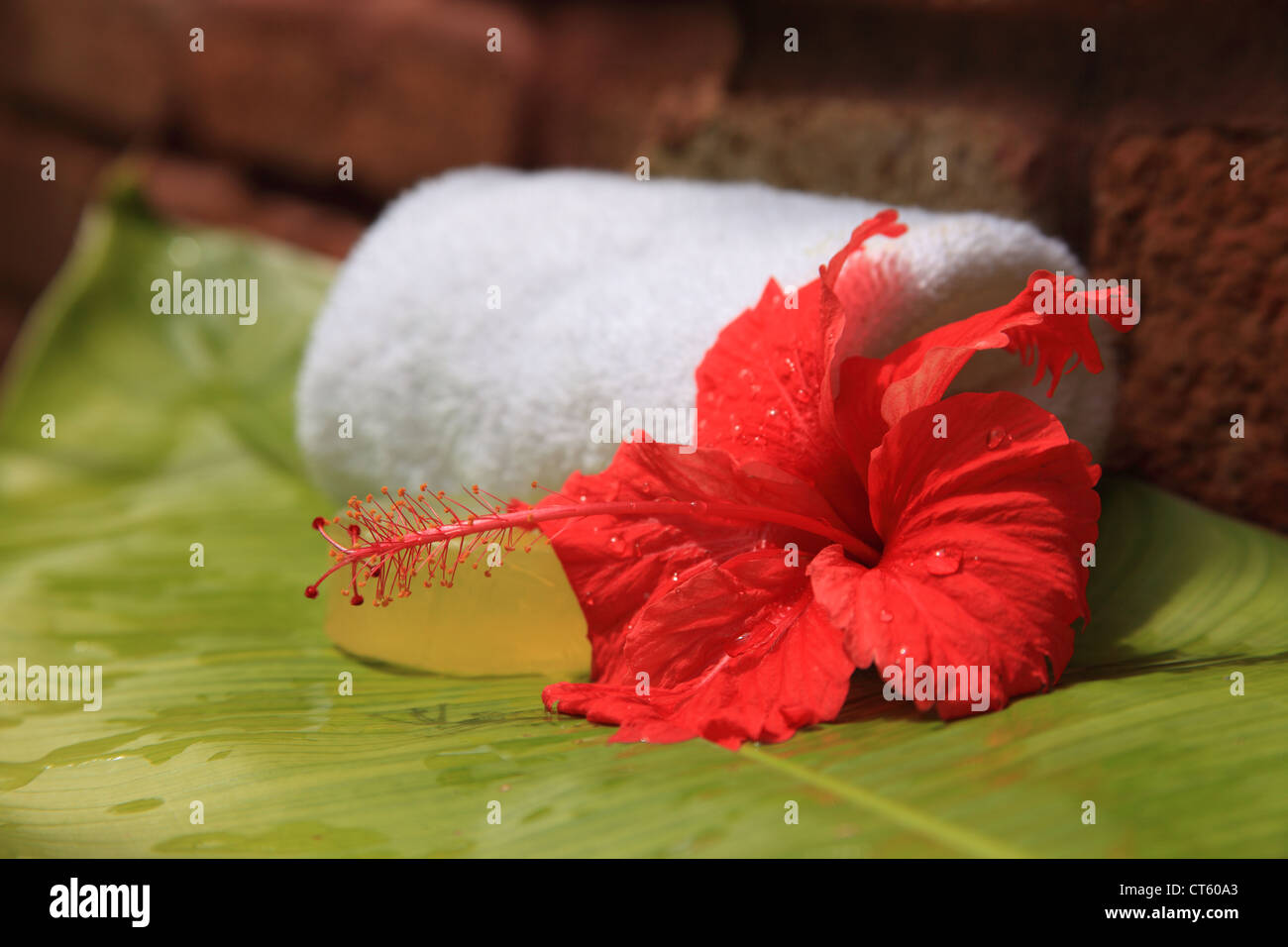 natural bathroom amenities Stock Photo - Alamy
