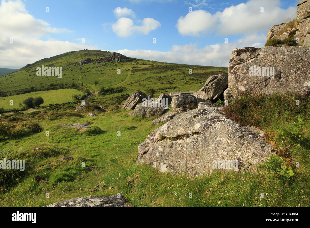 Bell Tor, near Widecombe, view from Bonehill rocks, Dartmoor, Devon ...