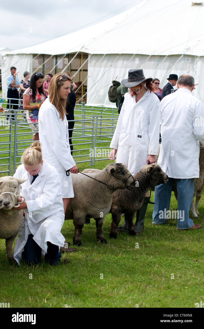 Norwich, Norfolk. The annual Royal Norfolk Show held at the Norfolk ...