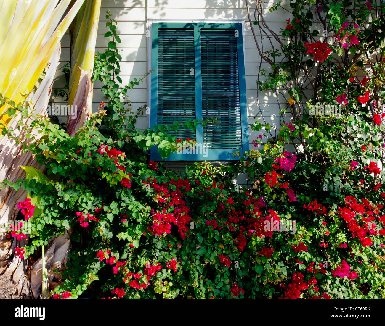 Simonton street key west hi-res stock photography and images - Alamy