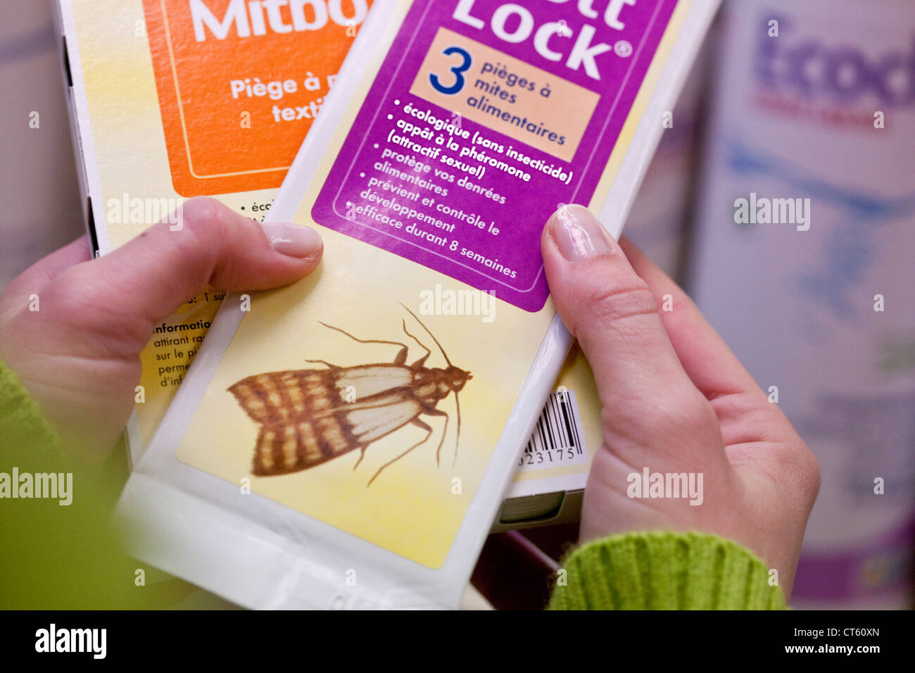 Clothes moth hi-res stock photography and images - Alamy