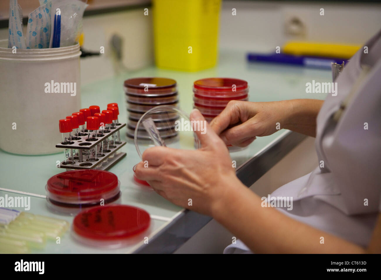 Bacteriology lab hi-res stock photography and images - Alamy