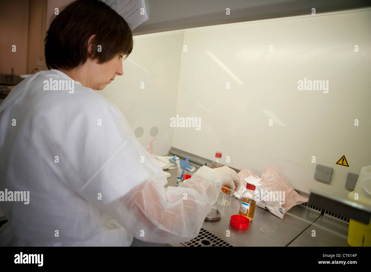 Microbiological specimens hi-res stock photography and images - Alamy