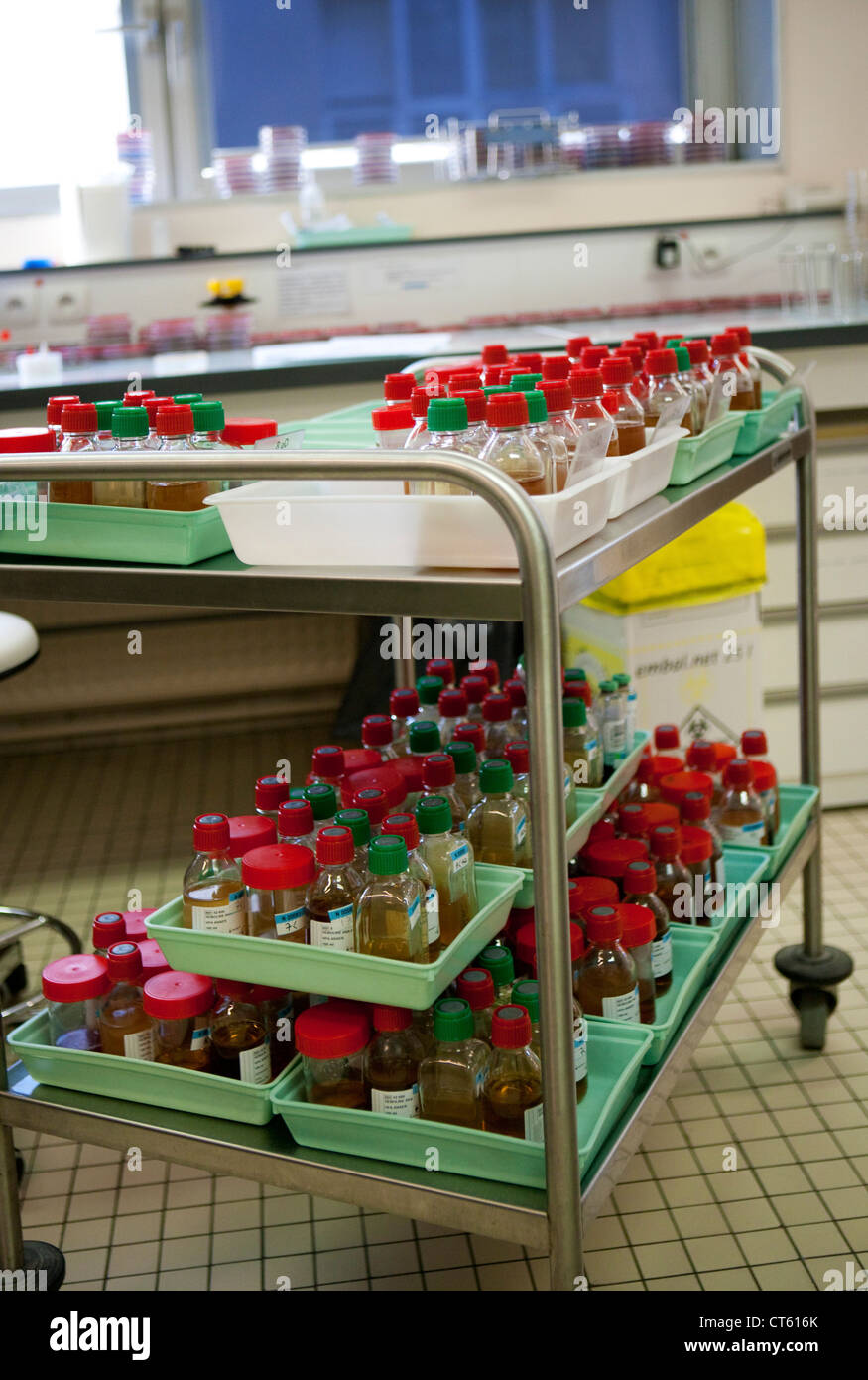 Bacteriological laboratory hi-res stock photography and images - Alamy