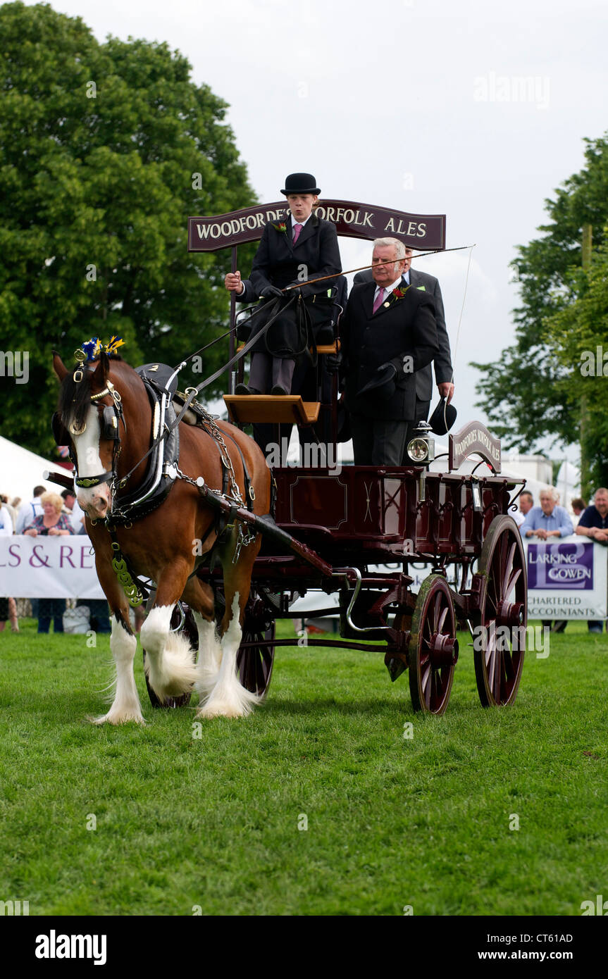 Norwich, Norfolk. The annual Royal Norfolk Show held at the Norfolk ...