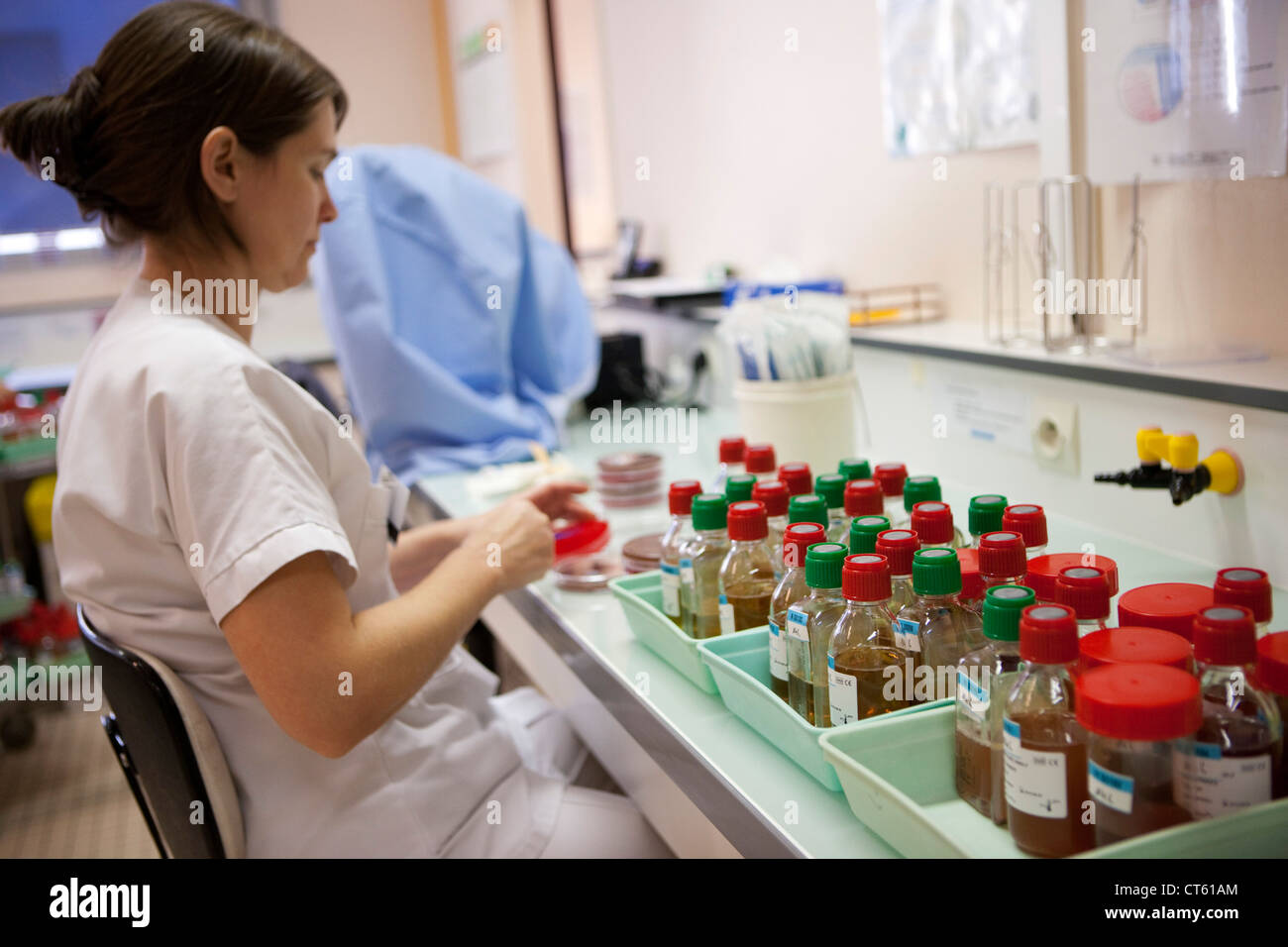 Lab worker petri dishes hi-res stock photography and images - Alamy