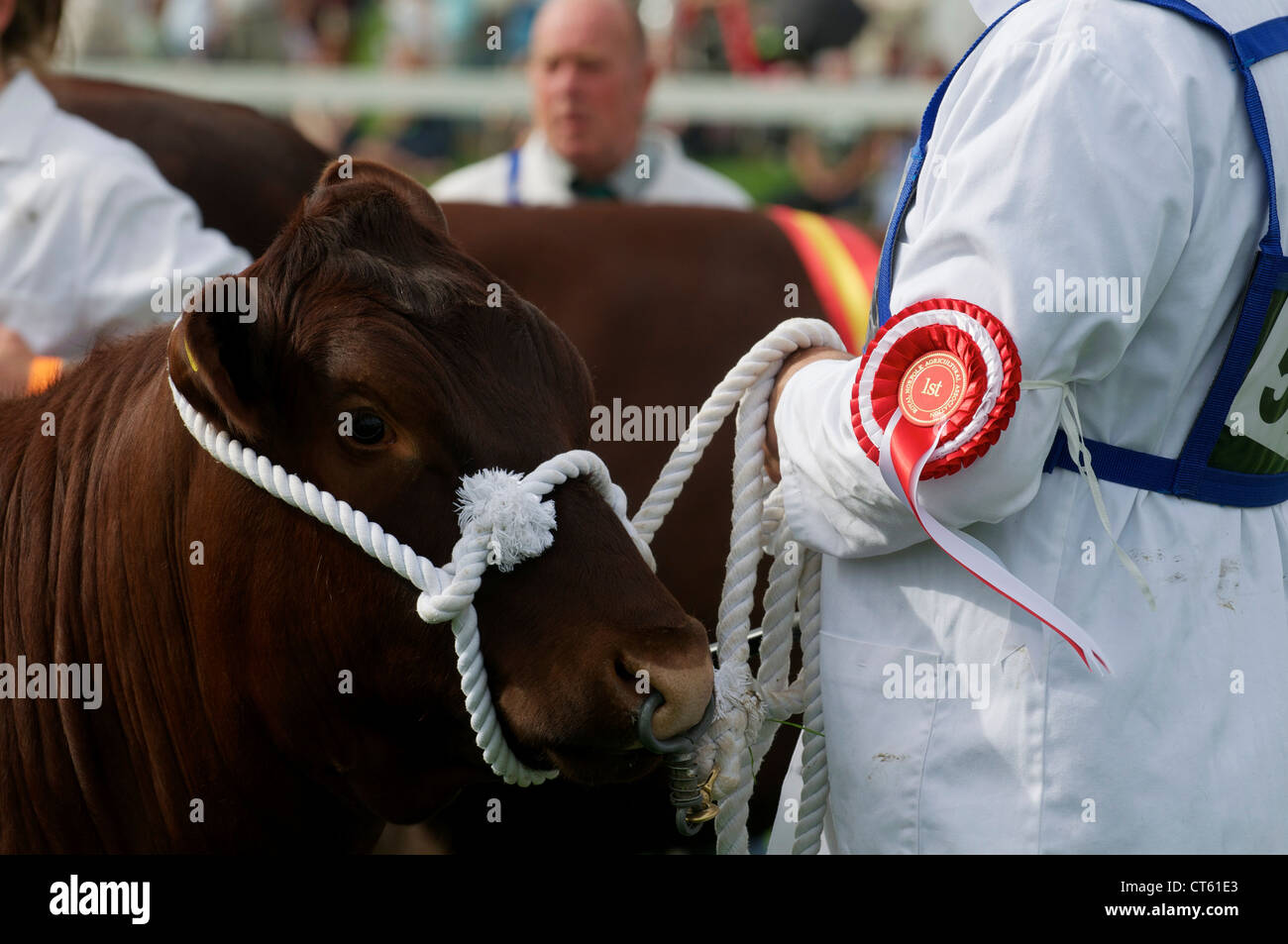 Norwich, Norfolk. The annual Royal Norfolk Show held at the Norfolk ...