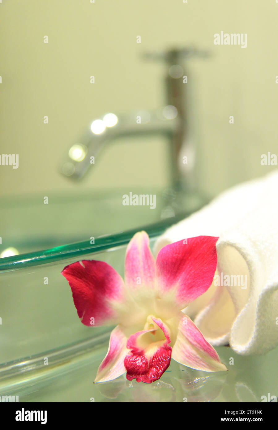 Flannel Bath High Resolution Stock Photography and Images - Alamy