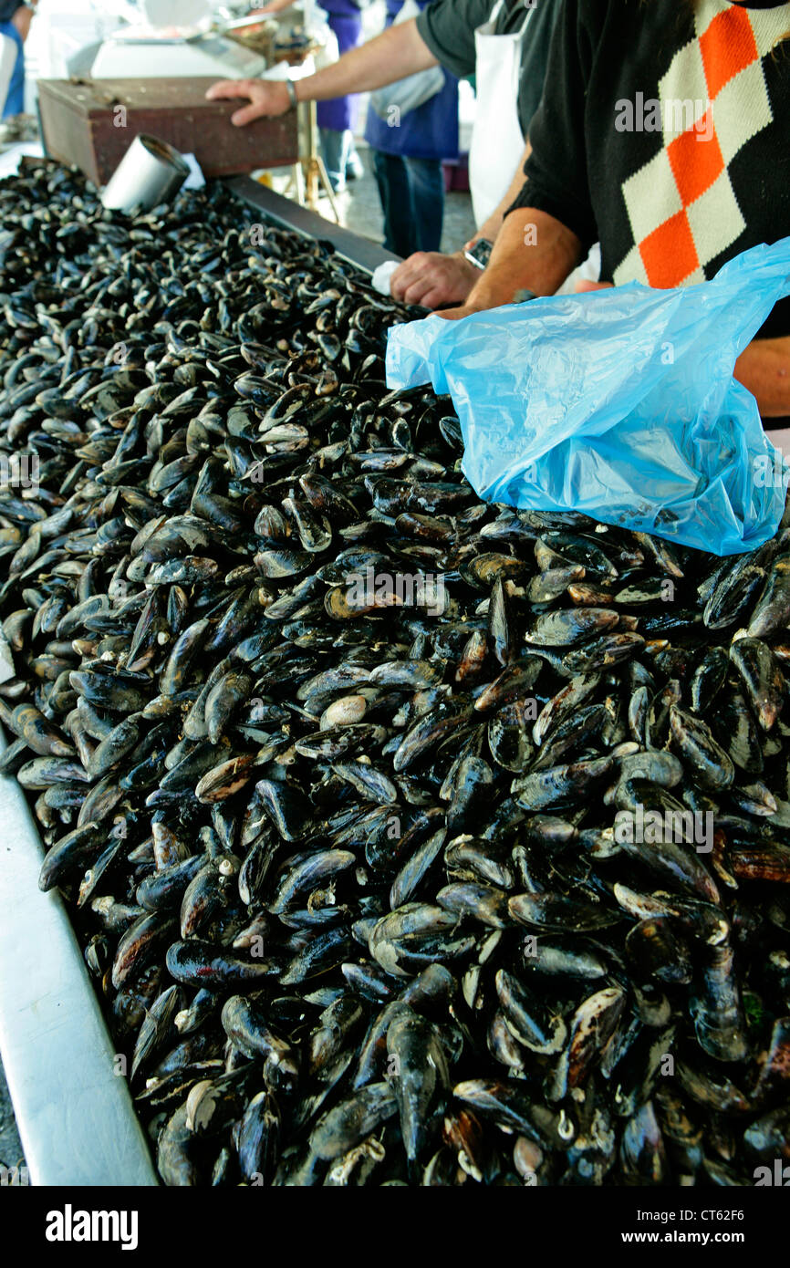 Mussel seller hi-res stock photography and images - Alamy