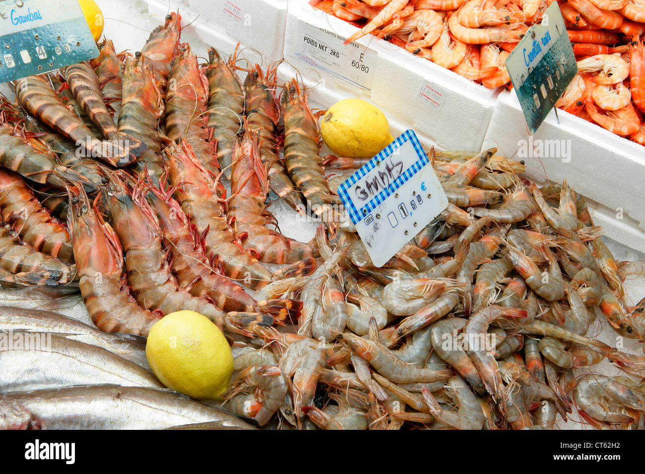 Merchant’s seal hi-res stock photography and images - Alamy