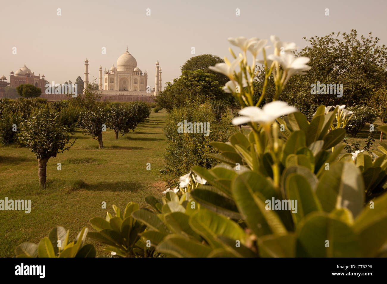 Taj Mahal in the spring Stock Photo - Alamy