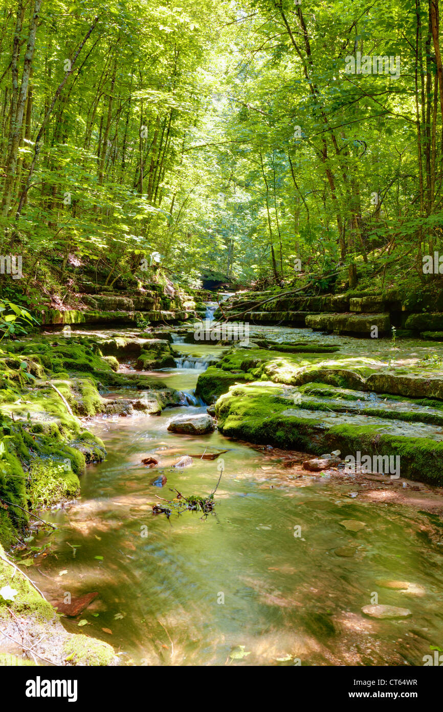 Creek stream summer hi-res stock photography and images - Alamy