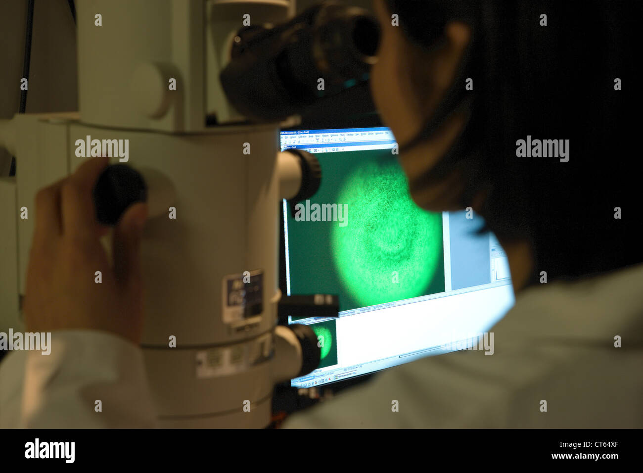 Macroscopes hi-res stock photography and images - Alamy