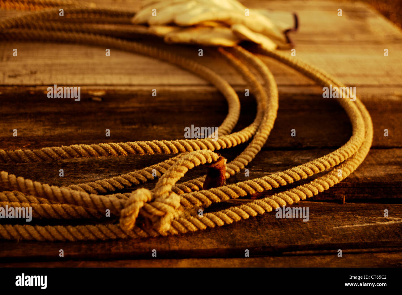 A western cowboy rope (lariat) laying on an old weathered fence with ...