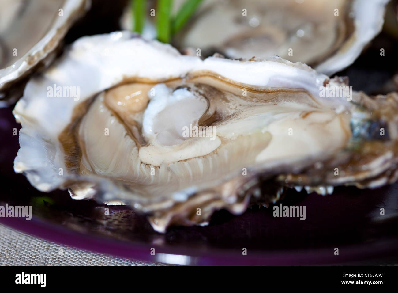 Oyster detail hi-res stock photography and images - Alamy