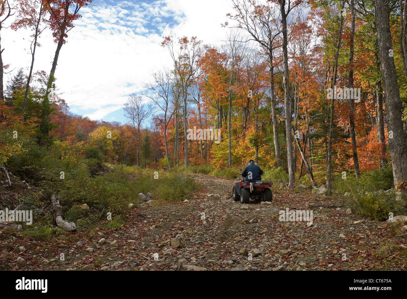 Four wheels hi-res stock photography and images - Alamy