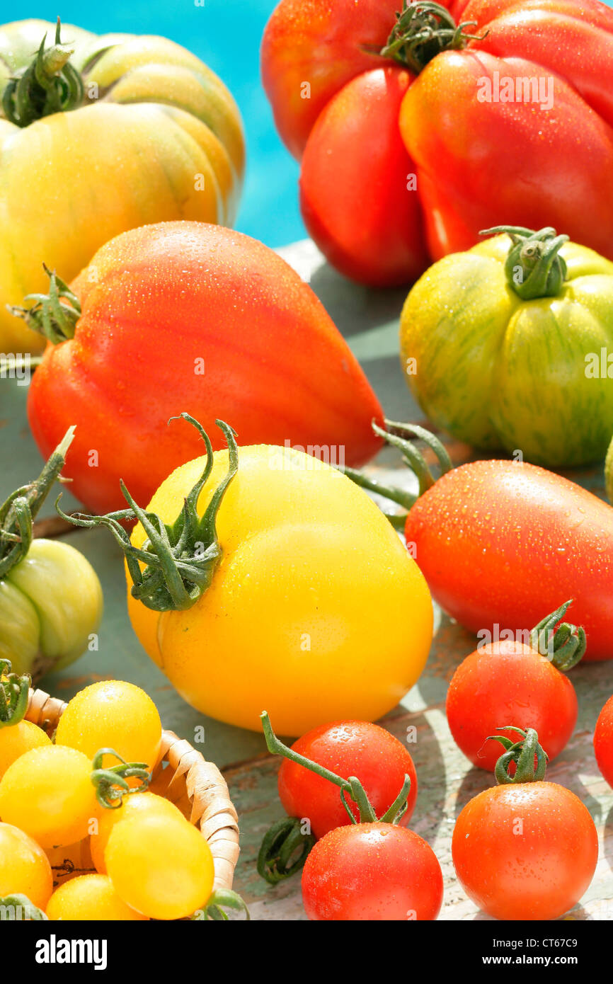 Tomato mixed varieties hi-res stock photography and images - Alamy