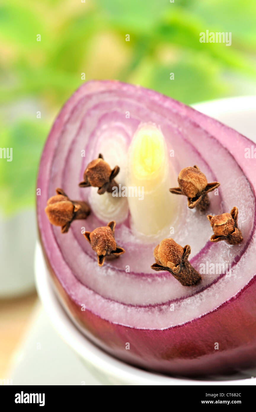 Clove details hi-res stock photography and images - Alamy