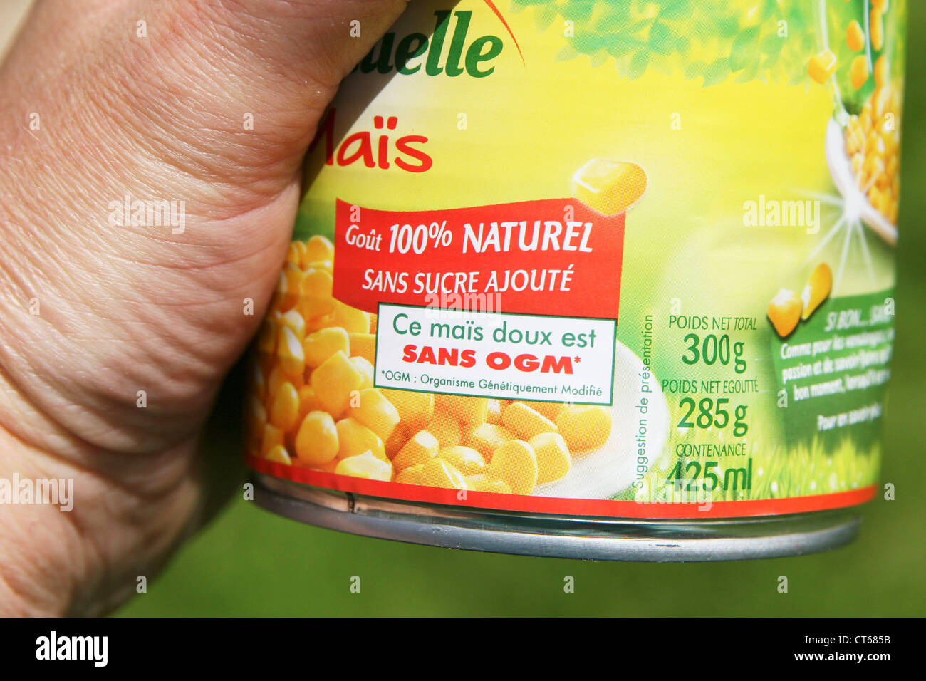 Food organism hi-res stock photography and images - Alamy