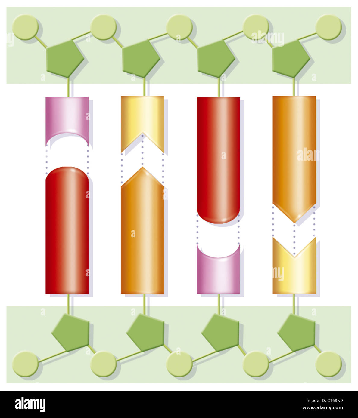Computer dna model hi-res stock photography and images - Alamy