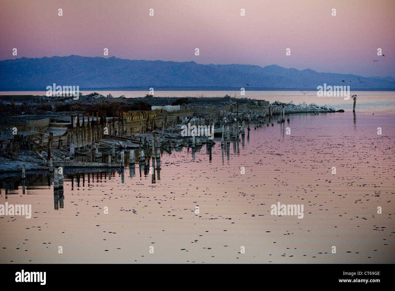 fish die off at Salton Sea California Stock Photo - Alamy