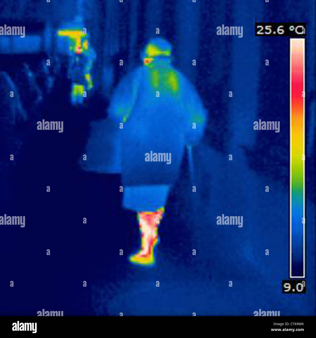 Legs 90 year old woman hi-res stock photography and images - Alamy