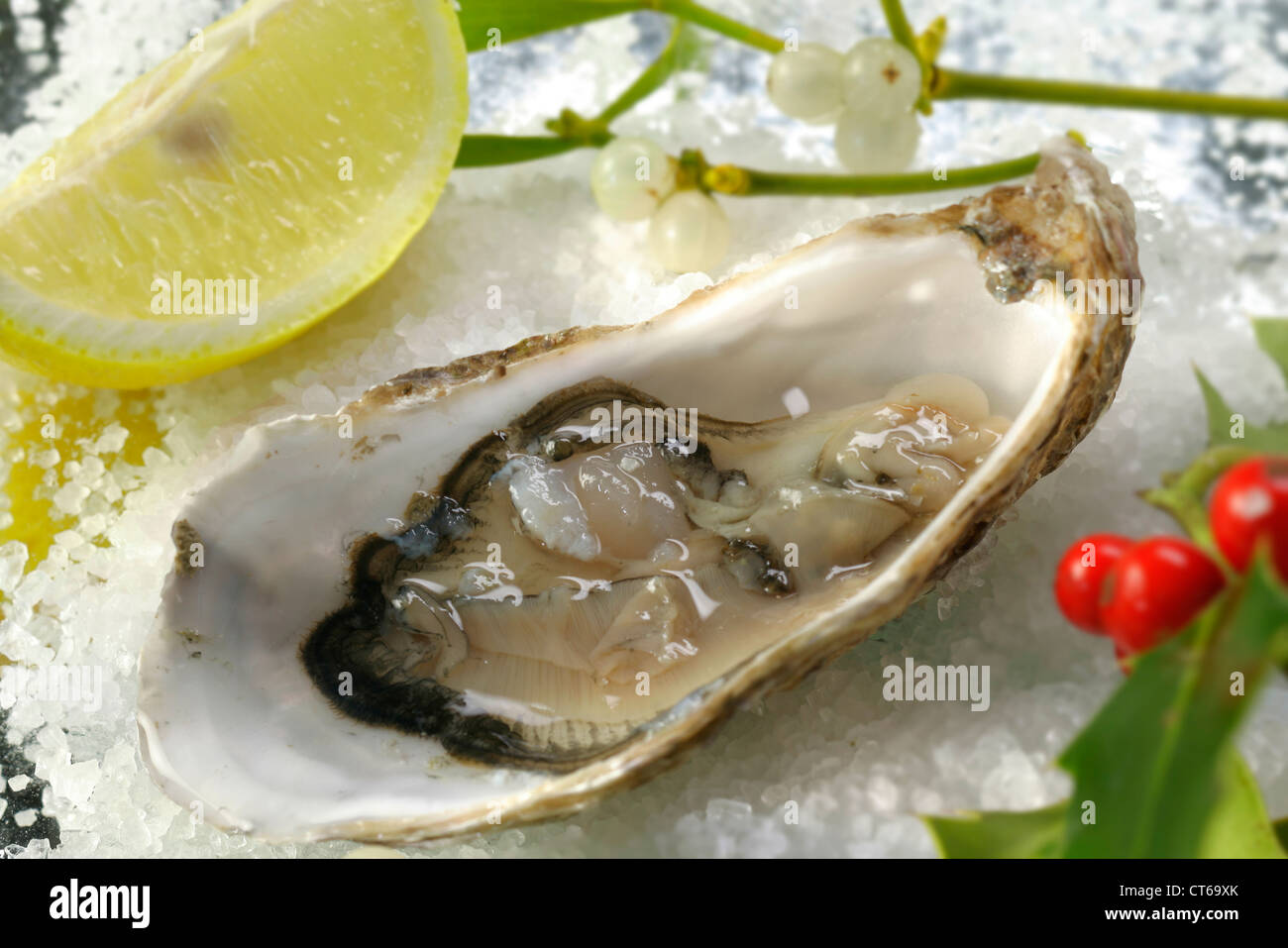 Oyster detail hi-res stock photography and images - Alamy