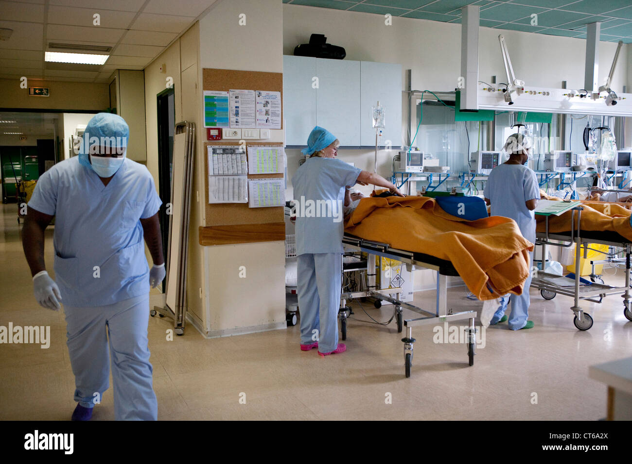 Human observation hi-res stock photography and images - Alamy