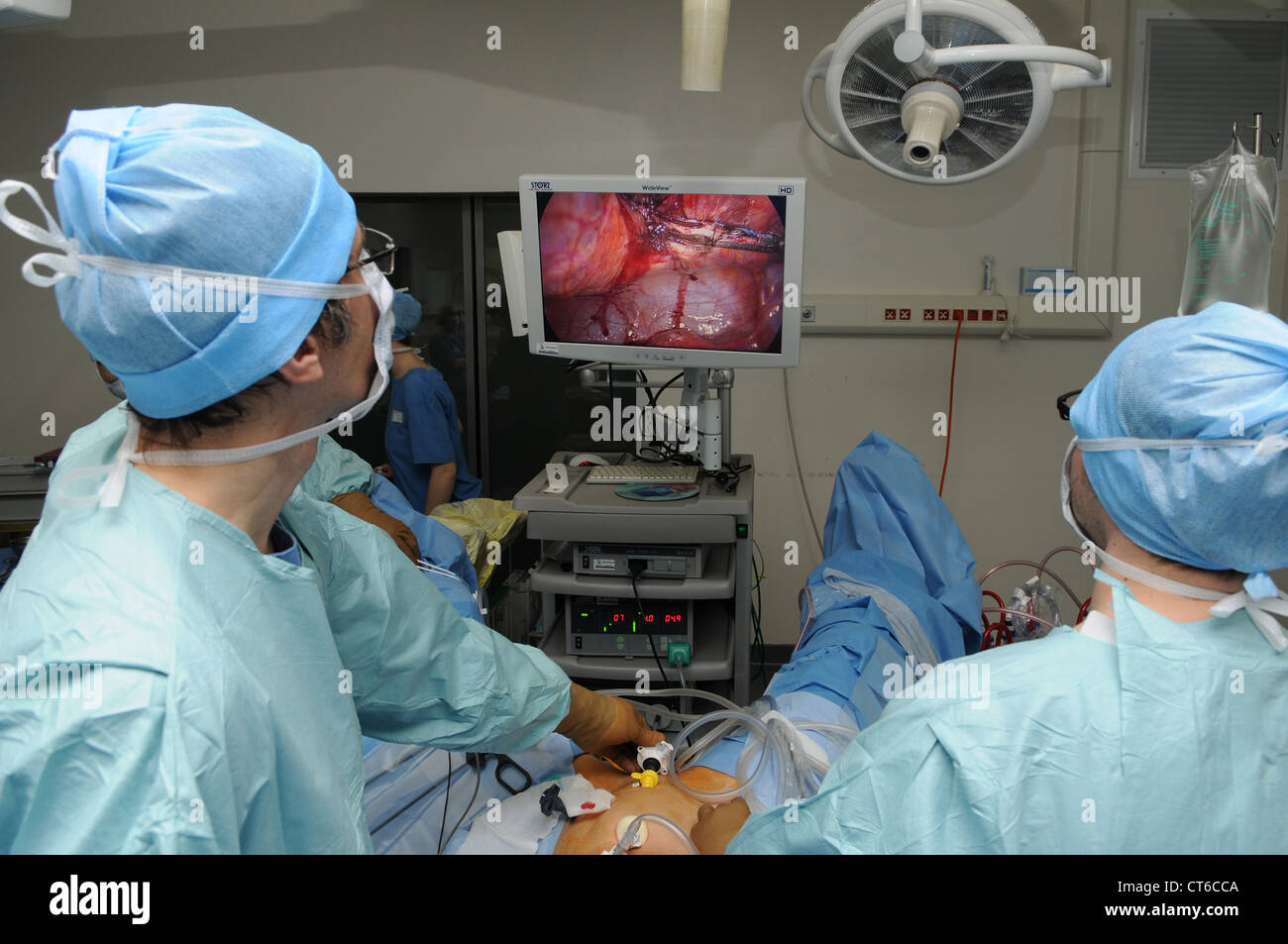 Ovariectomy hi-res stock photography and images - Alamy