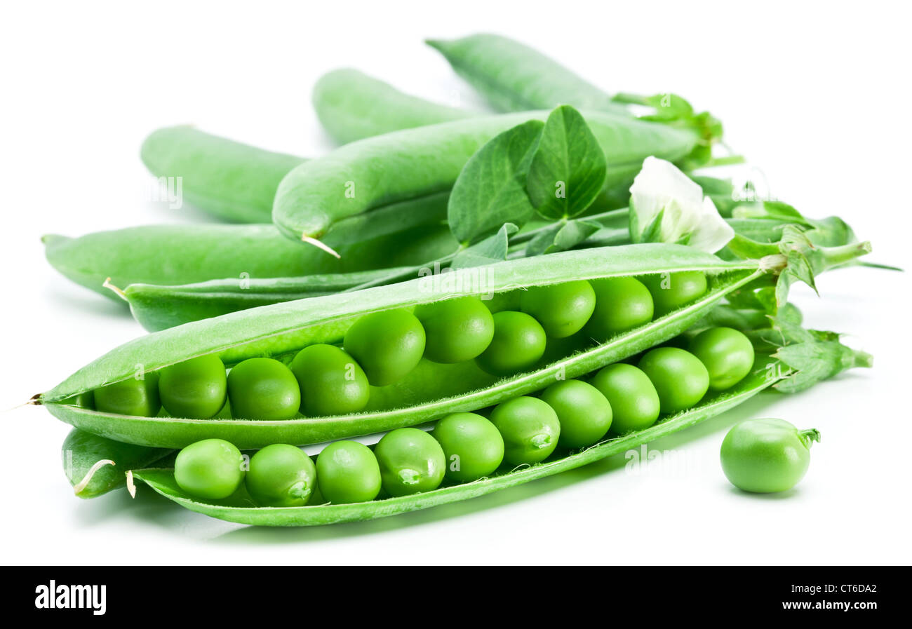 Leaves pods Cut Out Stock Images & Pictures - Alamy