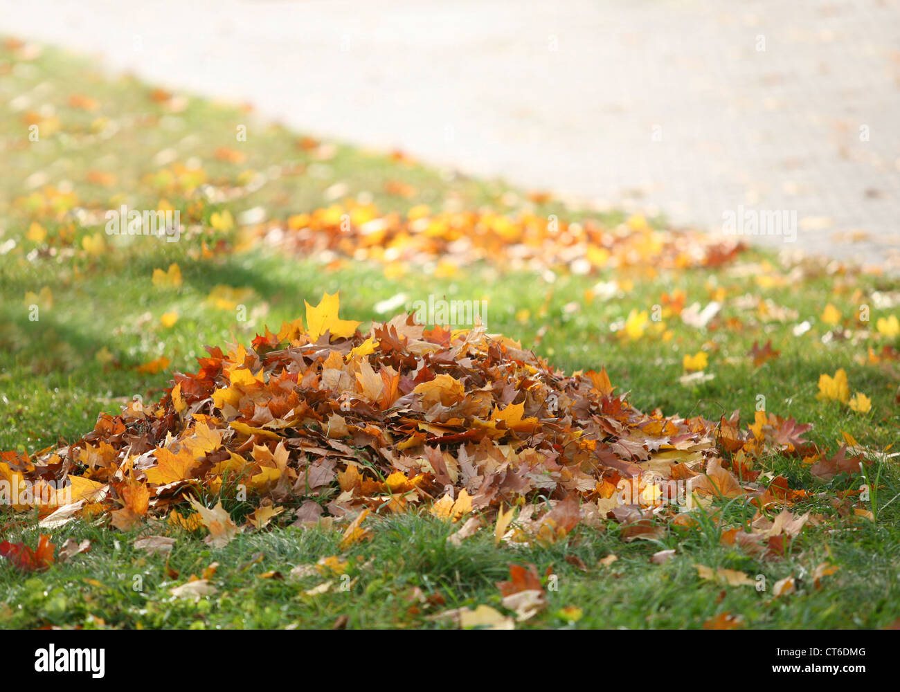 Autumn pile of leaves hi-res stock photography and images - Alamy