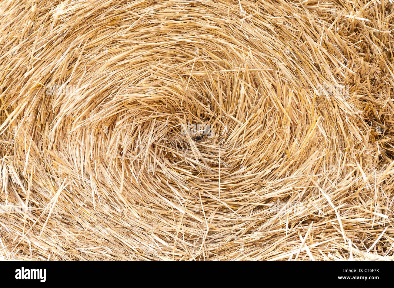 close up detailed view of stack of hay Stock Photo - Alamy