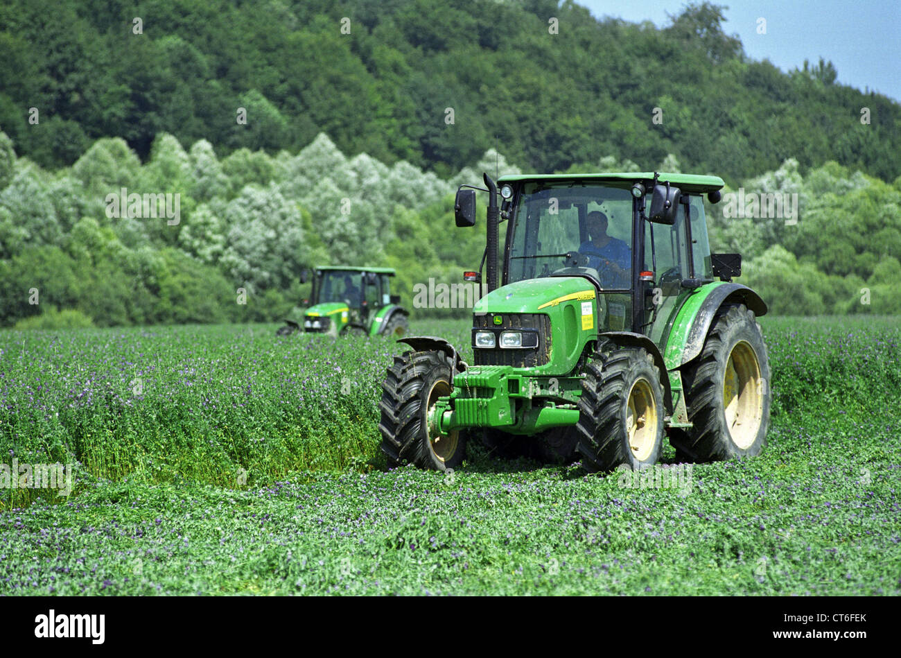 Slovak farmer hi-res stock photography and images - Alamy