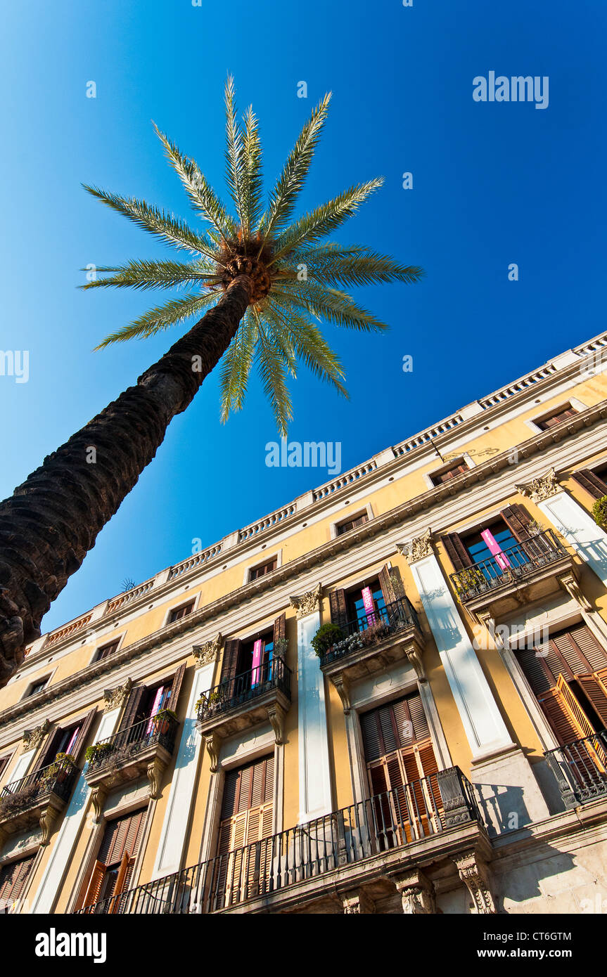 Barcelona palm tree hi-res stock photography and images - Alamy