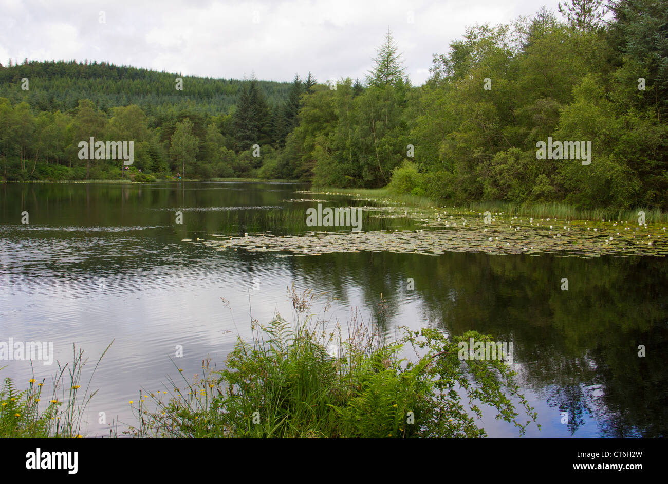 Kirroughtree hi-res stock photography and images - Alamy