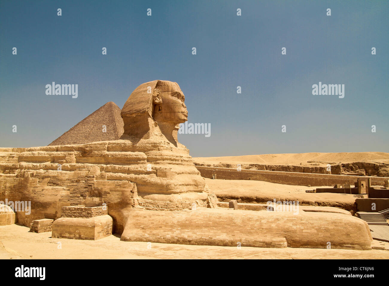 The Sphinx at Giza Egypt Stock Photo - Alamy