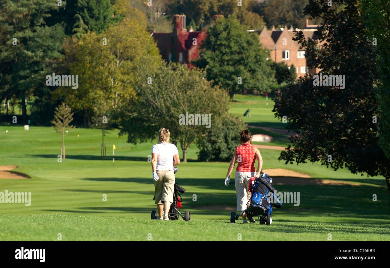 Golfers on Golf Course Stock Photo - Alamy
