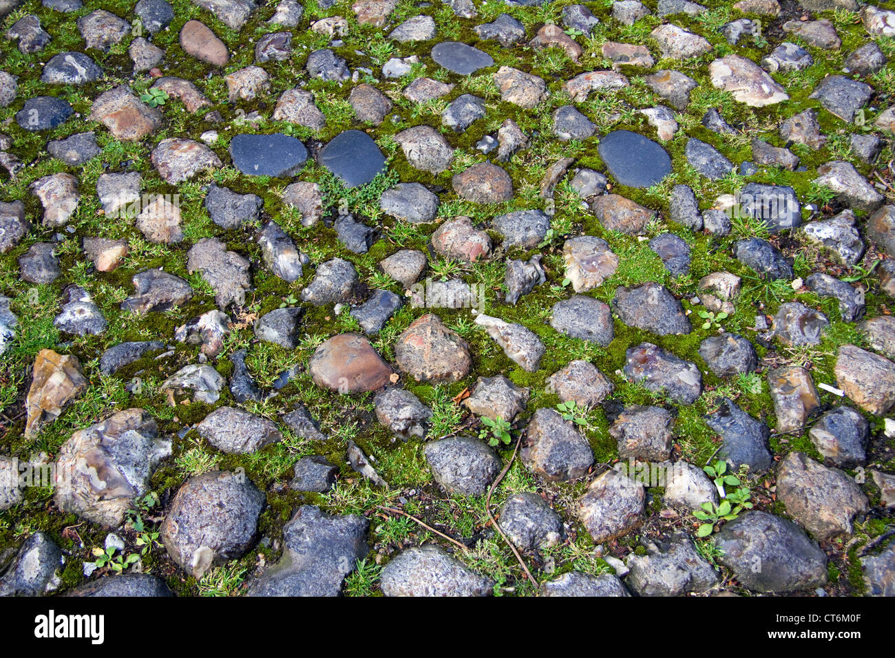 Medieval paving stones hi-res stock photography and images - Alamy