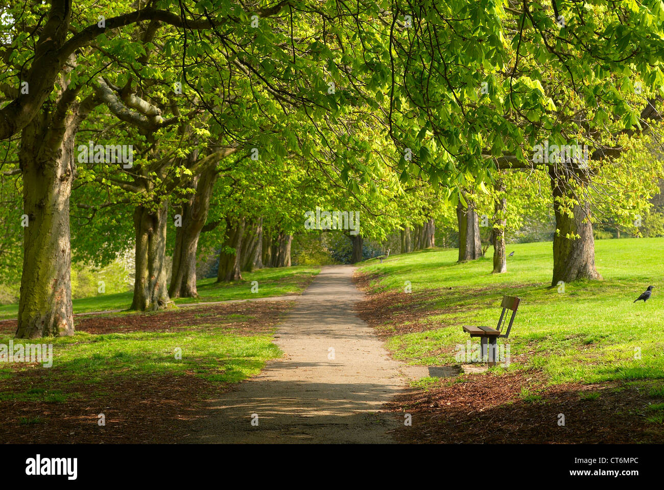 Ending path hi-res stock photography and images - Alamy