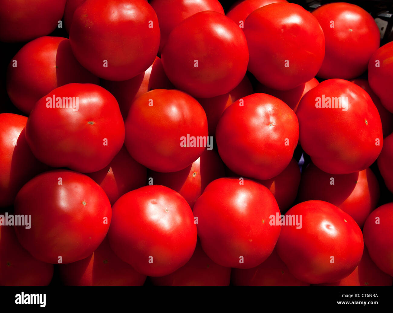 Group of red tomatoes in sun on market stall Stock Photo - Alamy
