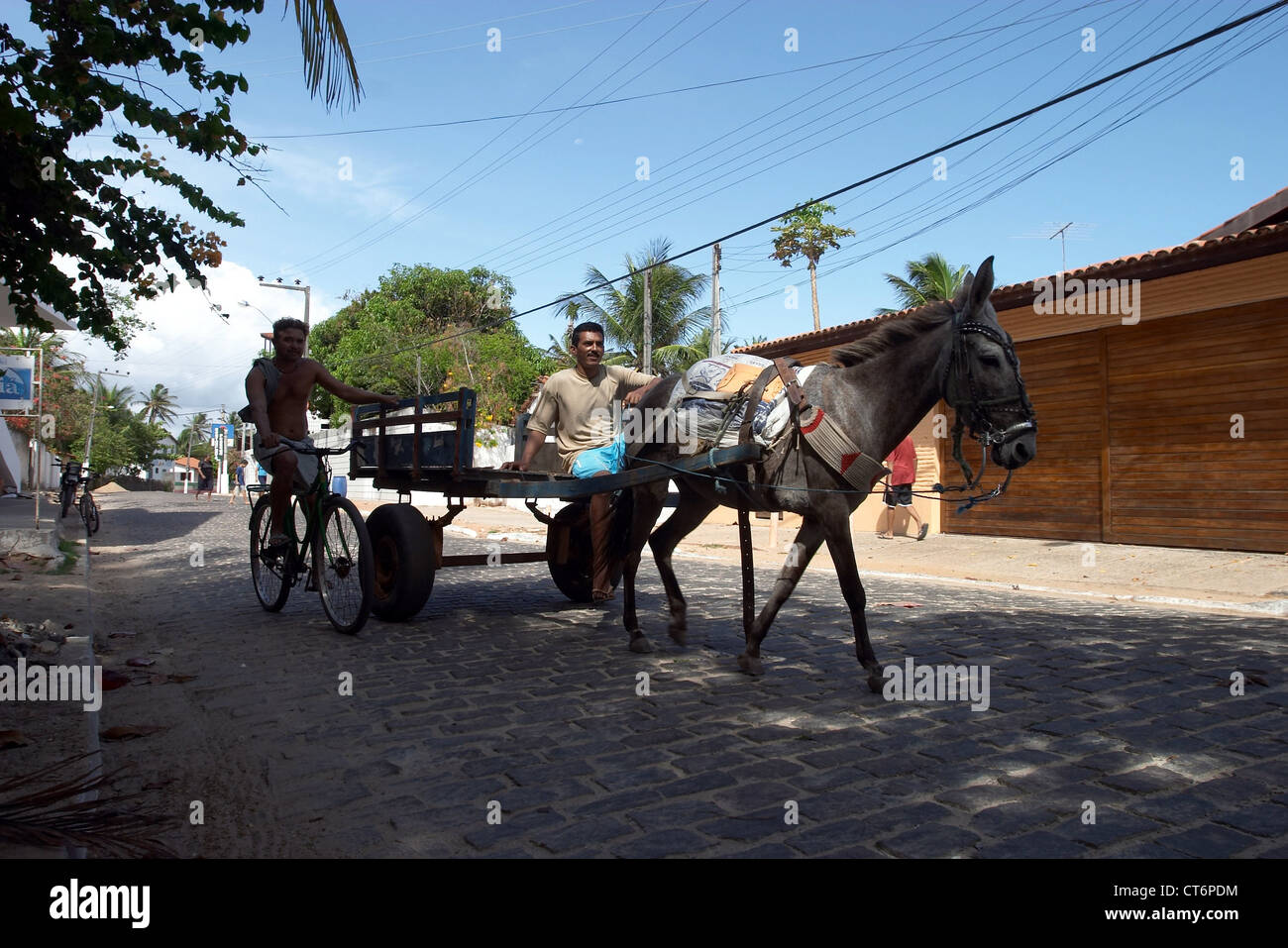 Driving a donkey cart hi-res stock photography and images - Alamy