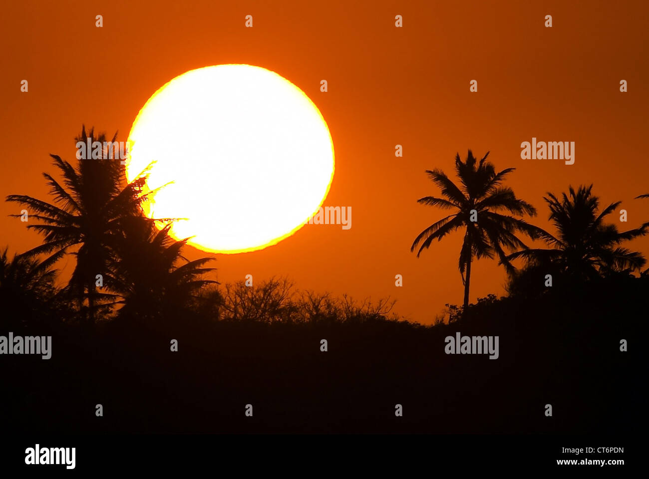 Beach landscape with a sunset, Brazil Stock Photo - Alamy