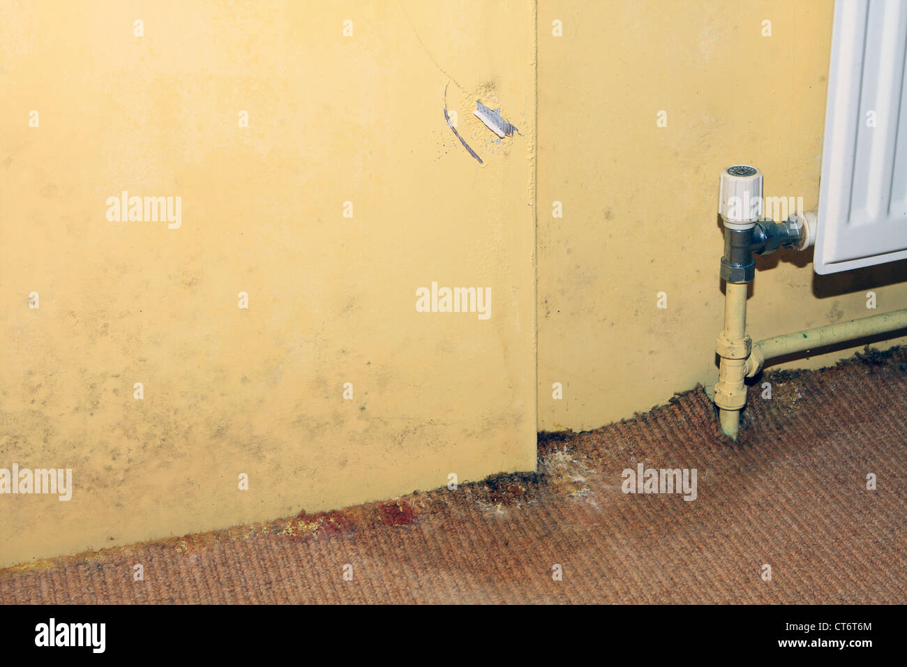 the effect of a leaking pipe showing carpet damage and rising damp in ...