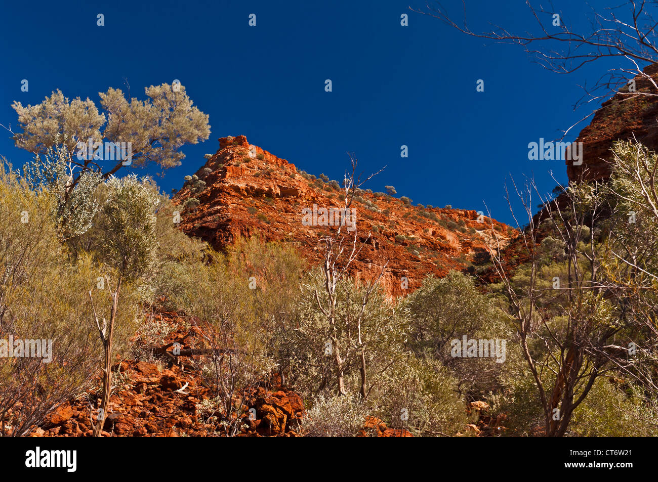 KENNEDY RANGE NATIONAL PARK, TEMPLE GORGE, WESTERN AUSTRALIA, AUSTRALIA ...