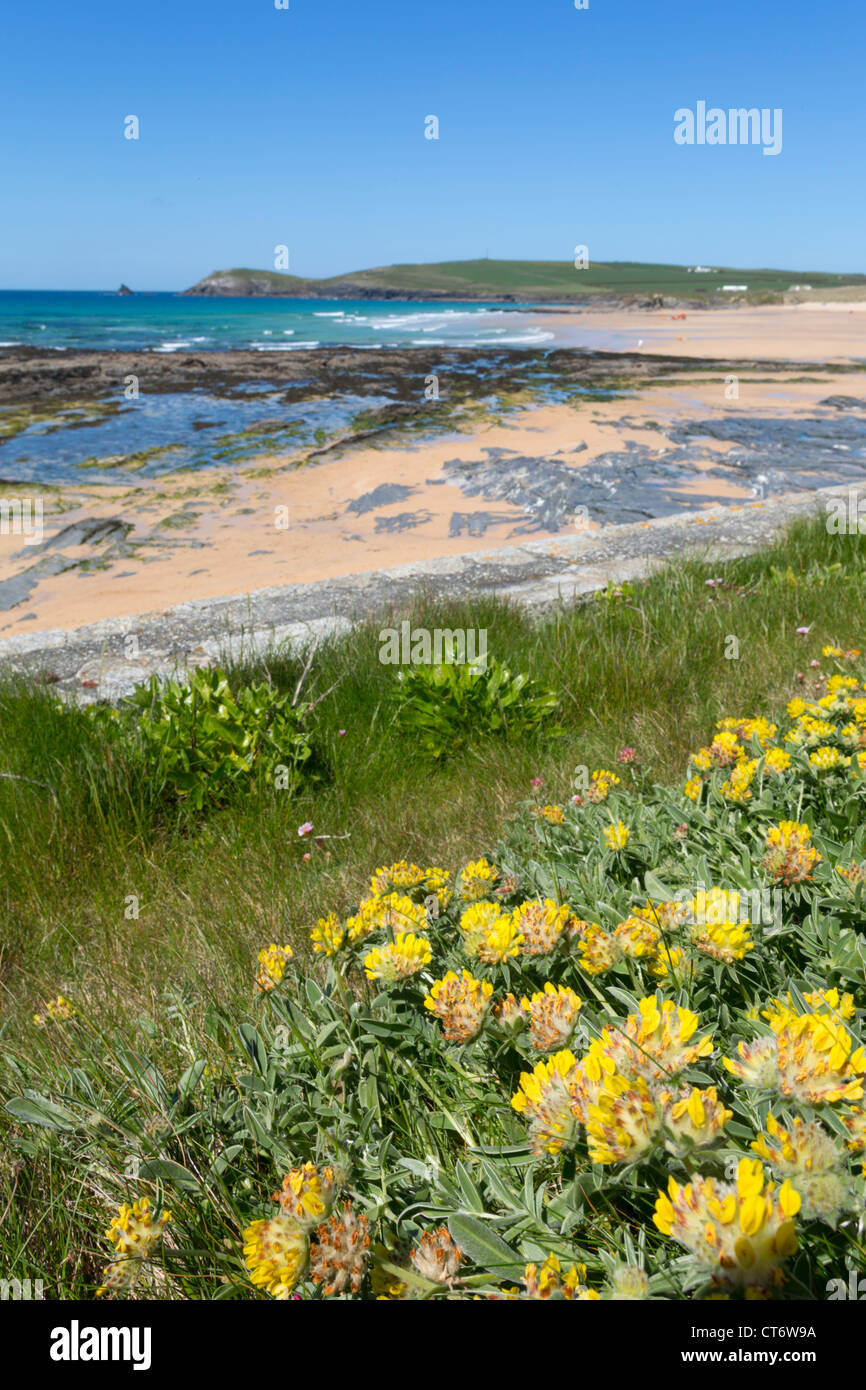 Constantine Bay High Resolution Stock Photography and Images - Alamy