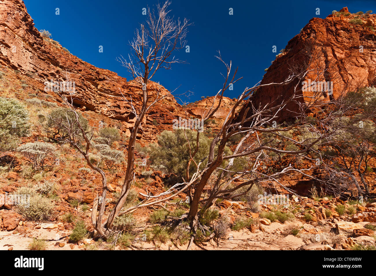 KENNEDY RANGE NATIONAL PARK, TEMPLE GORGE, WESTERN AUSTRALIA, AUSTRALIA ...
