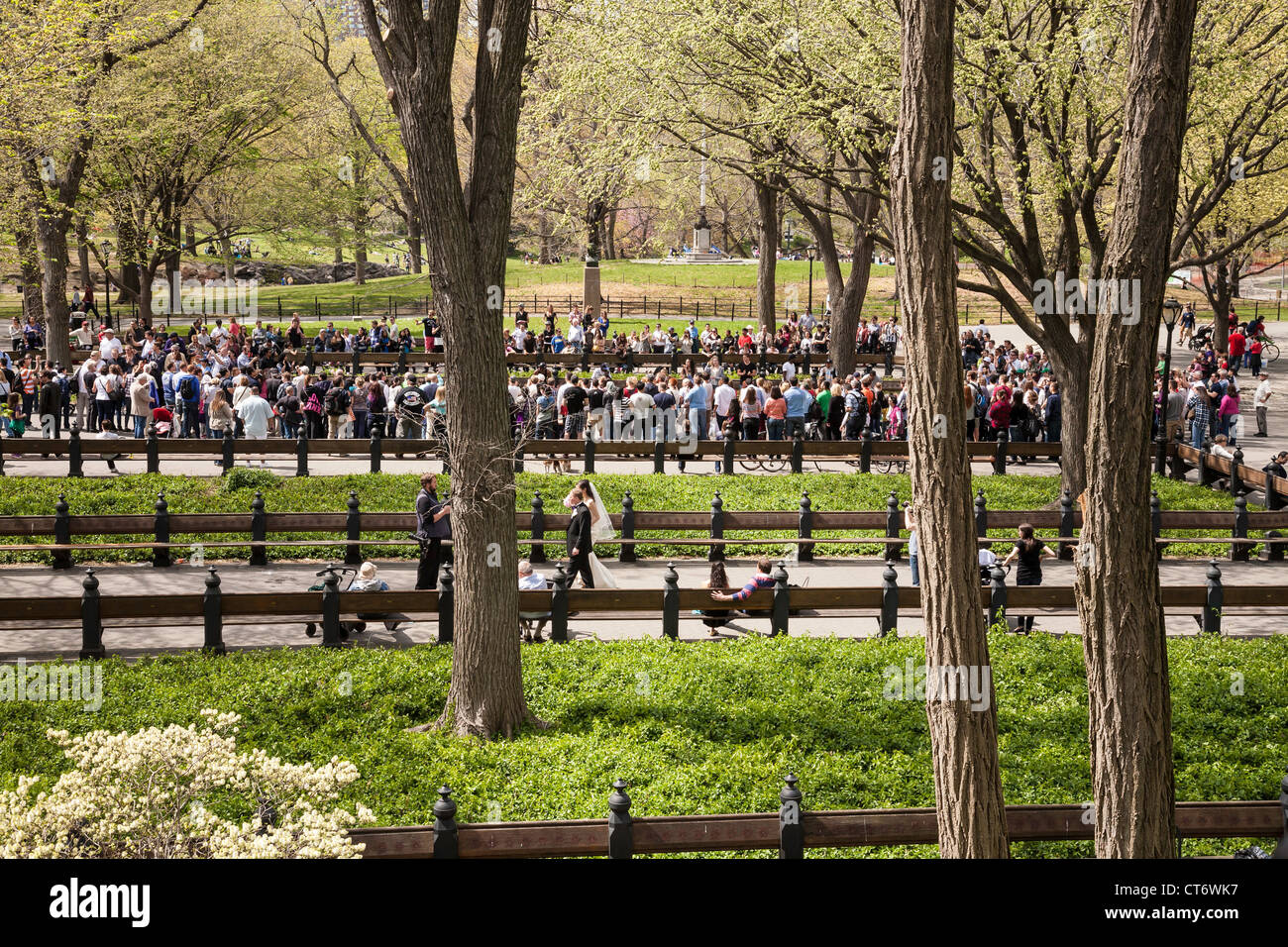 Crowds in Central Park, NYC Stock Photo - Alamy